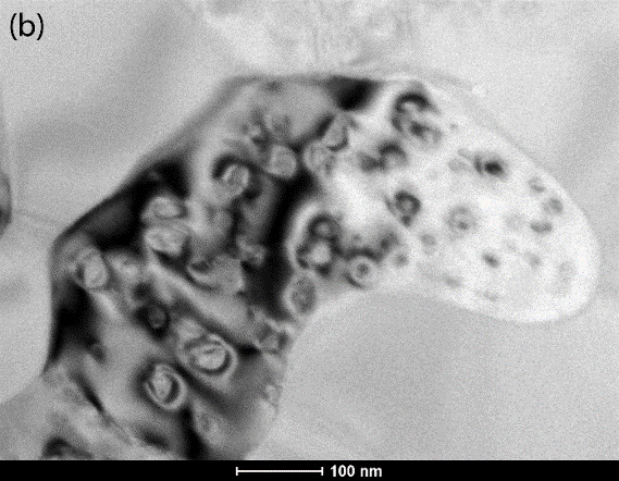 Irradiation stability of SiC-based joints for nuclear applications